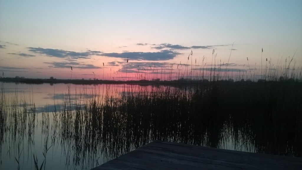 Réti csík, lápi póc és vidrafű | Vajdaság MA